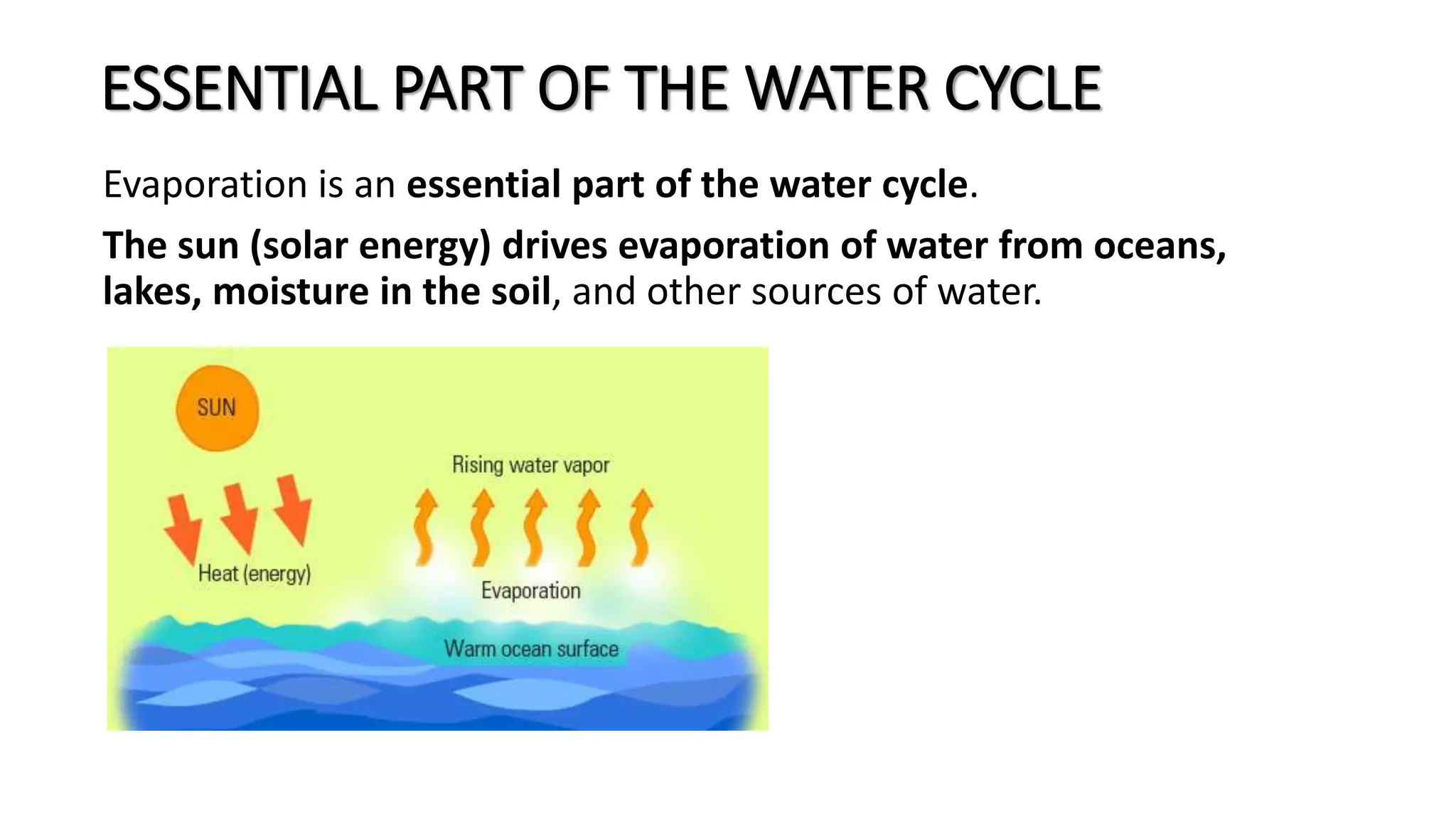 BRIEF REVISION - HYDROLOGY - 01. EVAPORATION AND EVAPOTRANSPIRATION | PPTX