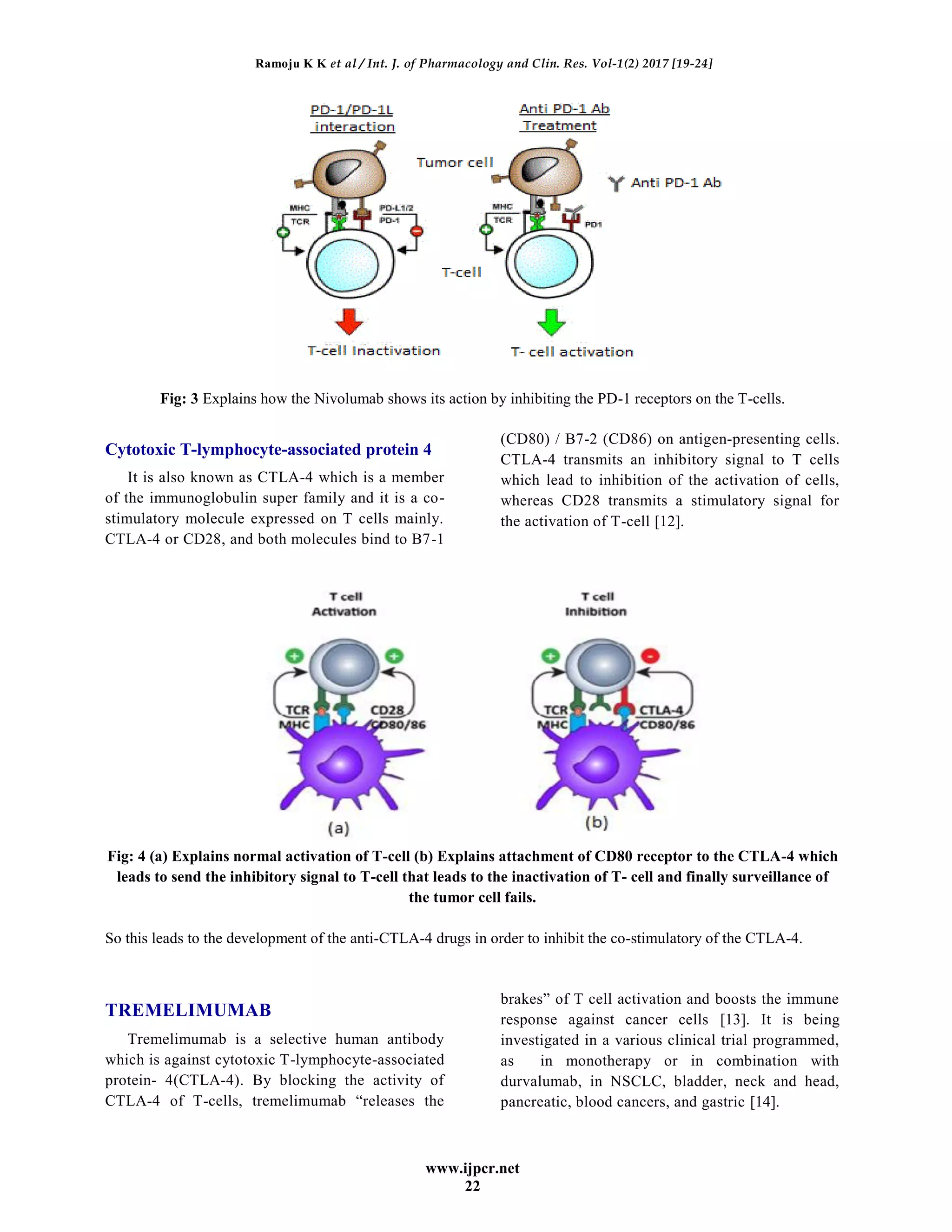 Development of immune checkpoint inhibitors for treating various cancer ...