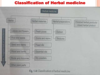 HERBS AS A RAW MATERIALS | PPT