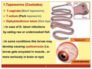 Anthelmintic drugs- Treatment - Pharmacy- Medicinal Chemistry | PDF