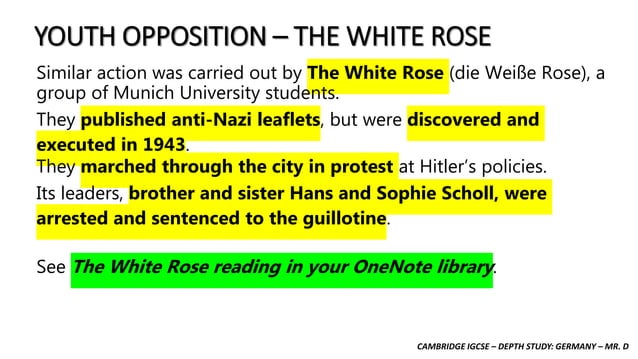 HISTORY IGCSE CONTENT - 20TH CENTURY OPTION - DEPTH STUDY GERMANY: THE ...