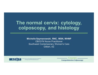 01. the normal cervix | PDF