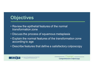 01. the normal cervix | PDF