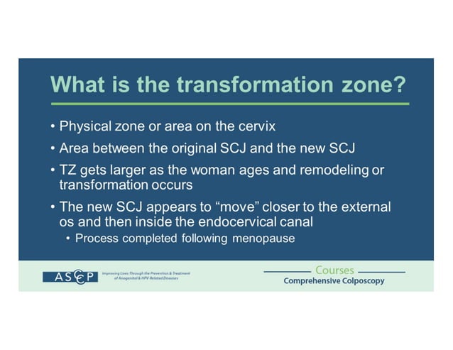 01. the normal cervix | PDF | Pregnancy | Reproductive Health