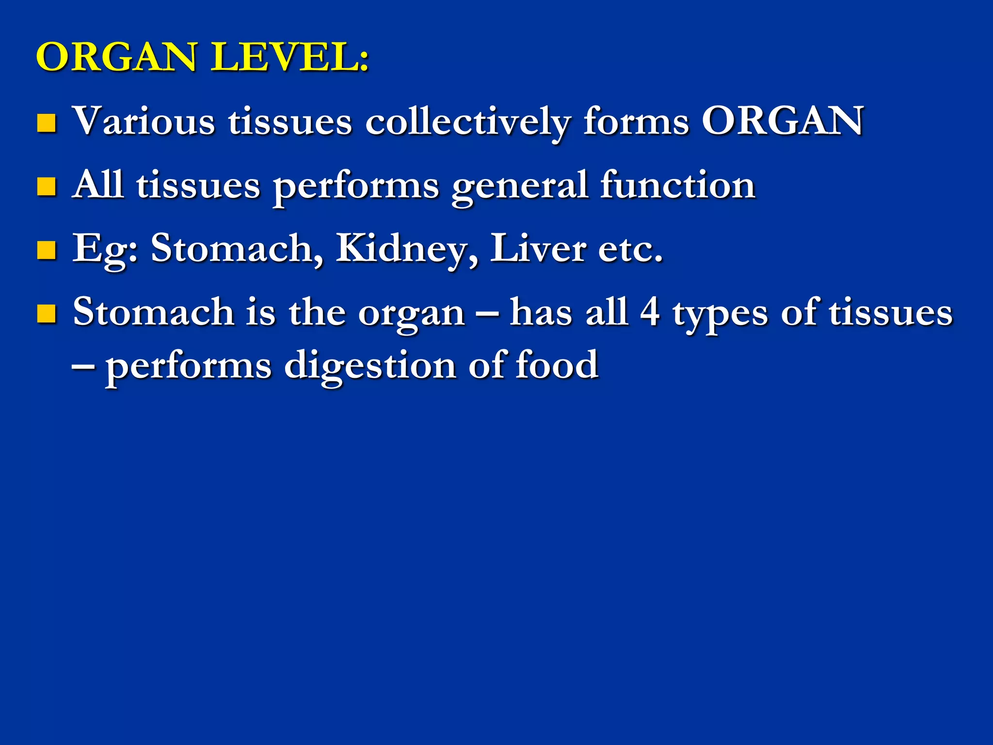 INTRODUCTION TO HUMAN BODY - Definition and scope of anatomy and ...