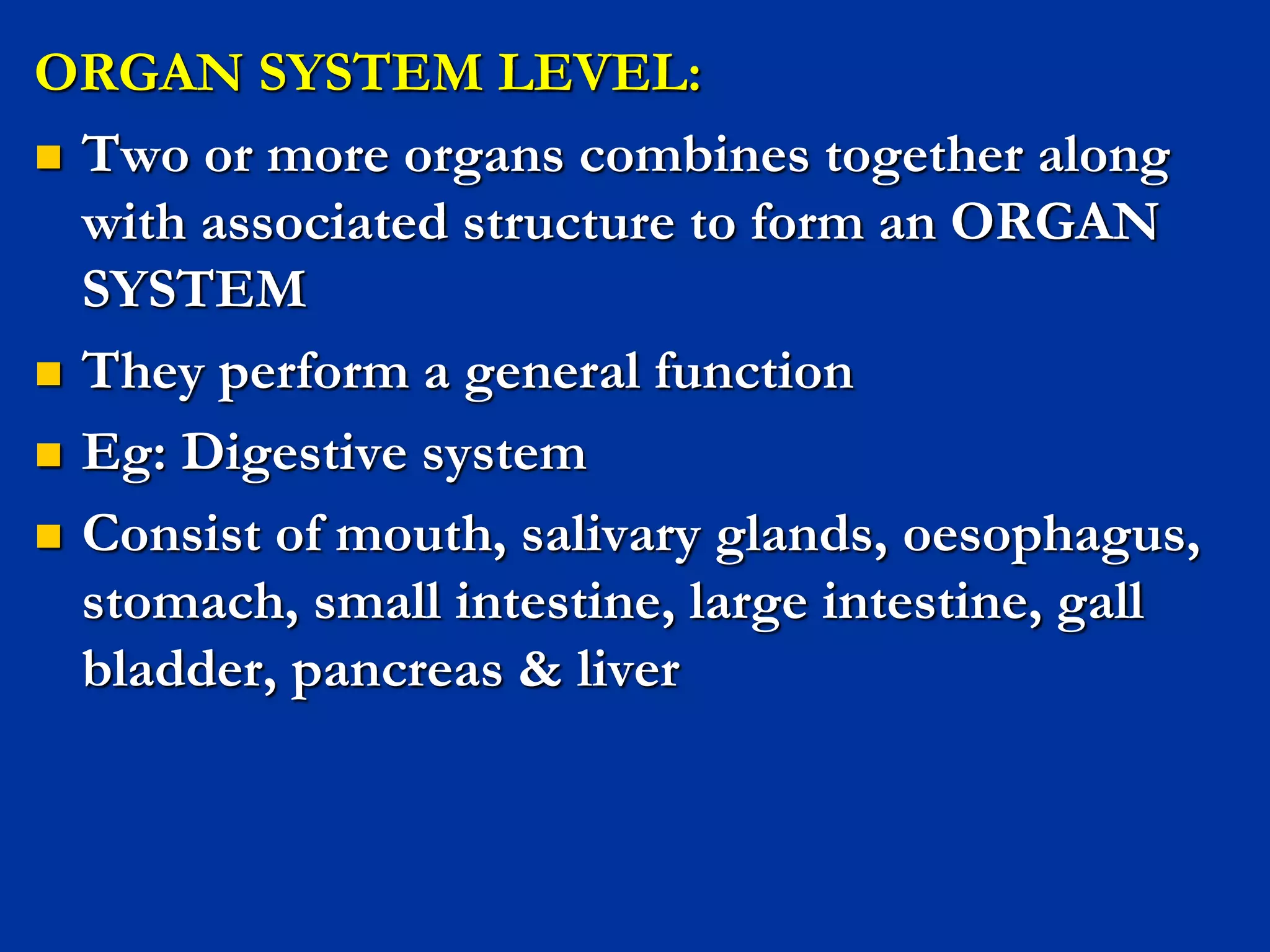 INTRODUCTION TO HUMAN BODY - Definition and scope of anatomy and ...