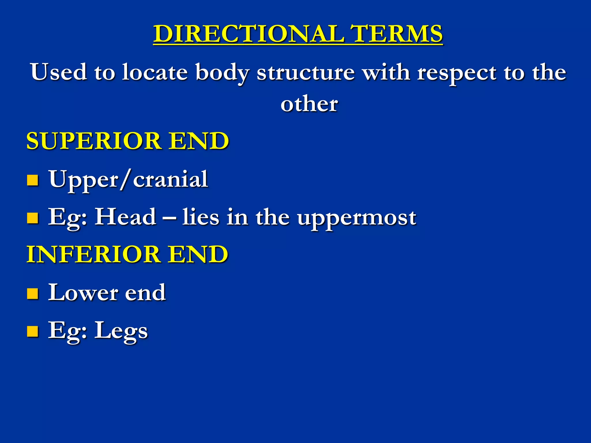 INTRODUCTION TO HUMAN BODY - Definition and scope of anatomy and ...