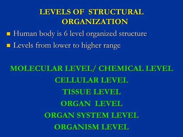 INTRODUCTION TO HUMAN BODY - Definition and scope of anatomy and ...