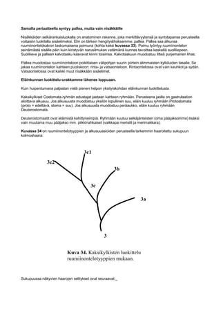 Yksilönkehityksen vaiheet eläinten luokittelun perusteena | PDF