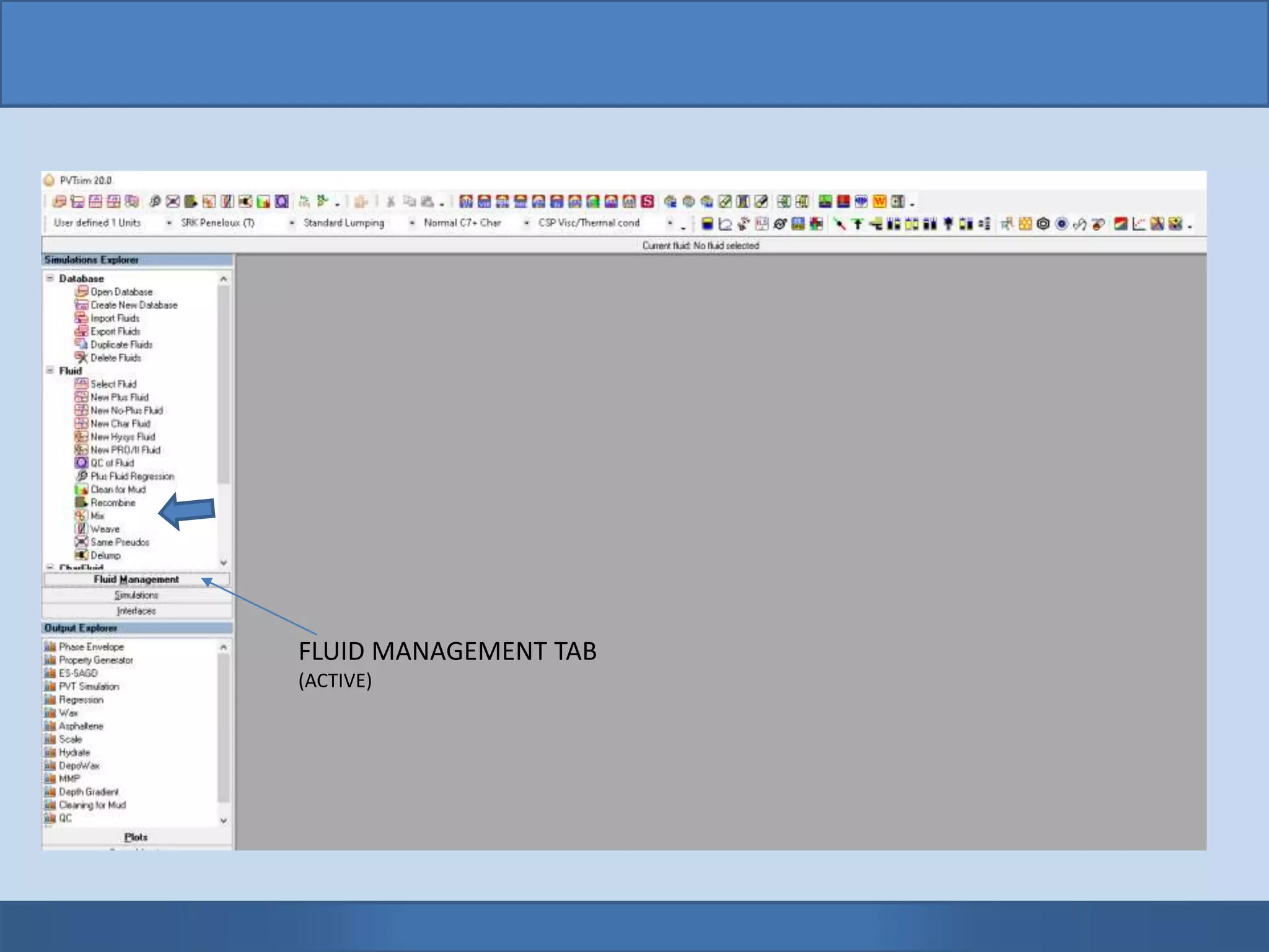 01. Olga Network and PVT sim.pptx