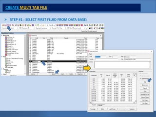 01. Olga Network and PVT sim.pptx