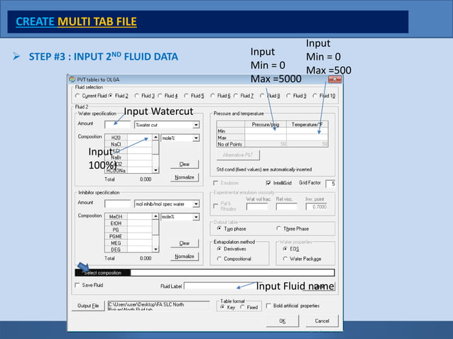 01. Olga Network and PVT sim.pptx