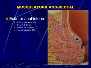 01.- Embriología, Anatomía Quirúrgica e Histología del Recto.ppt