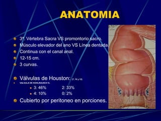 01.- Embriología, Anatomía Quirúrgica e Histología del Recto.ppt