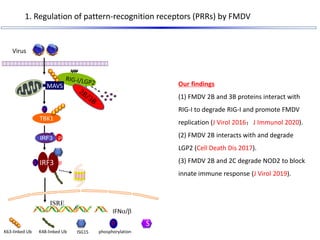 H. Zheng - Innate immune evasion by foot-and-mouth disease virus | PPTX
