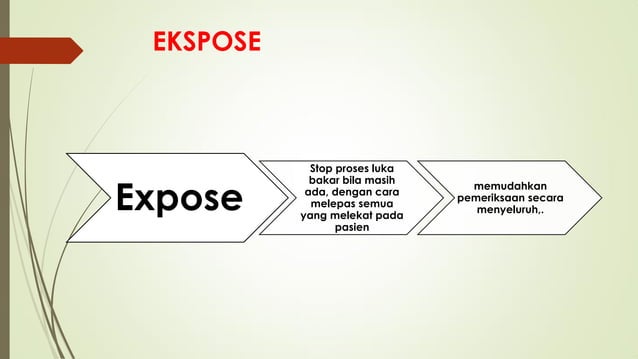 01. Konsep Luka Bakar, Iwanta R.pdf