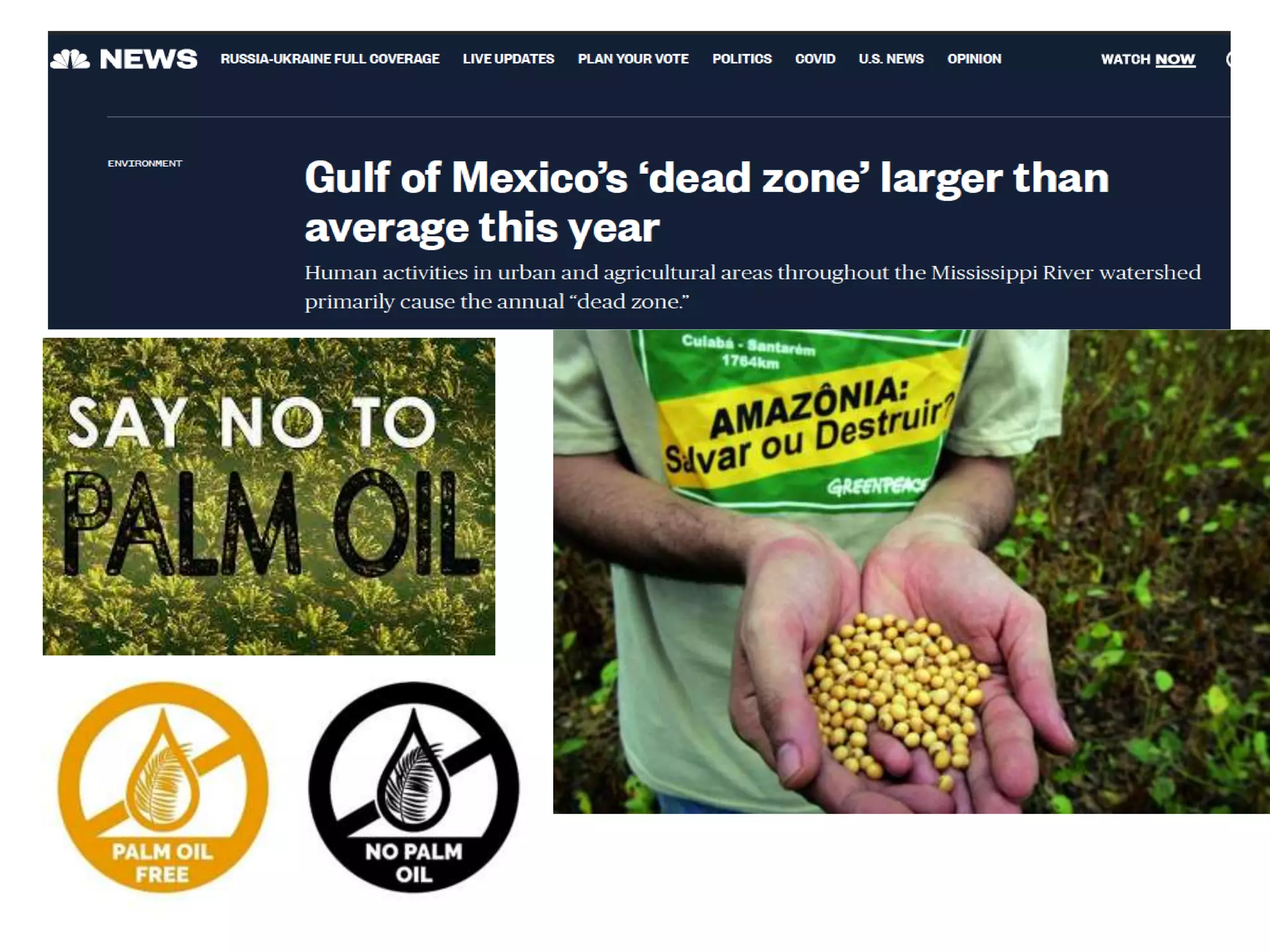 Sustainable crop intensification: from concept to real world examples ...