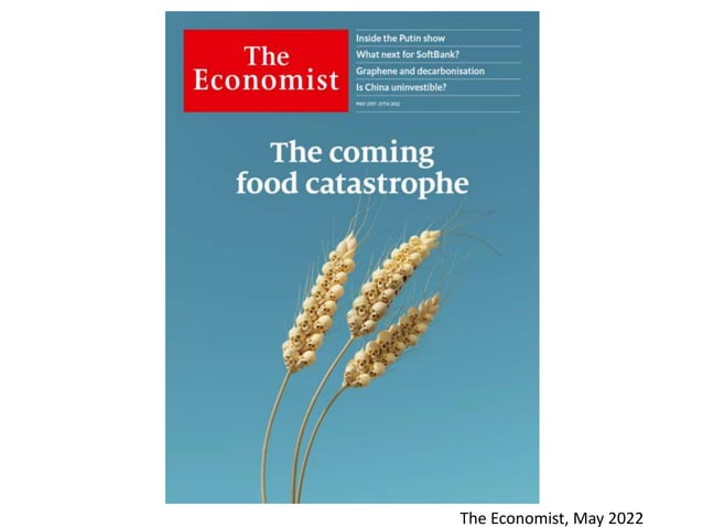 Sustainable crop intensification: from concept to real world examples ...