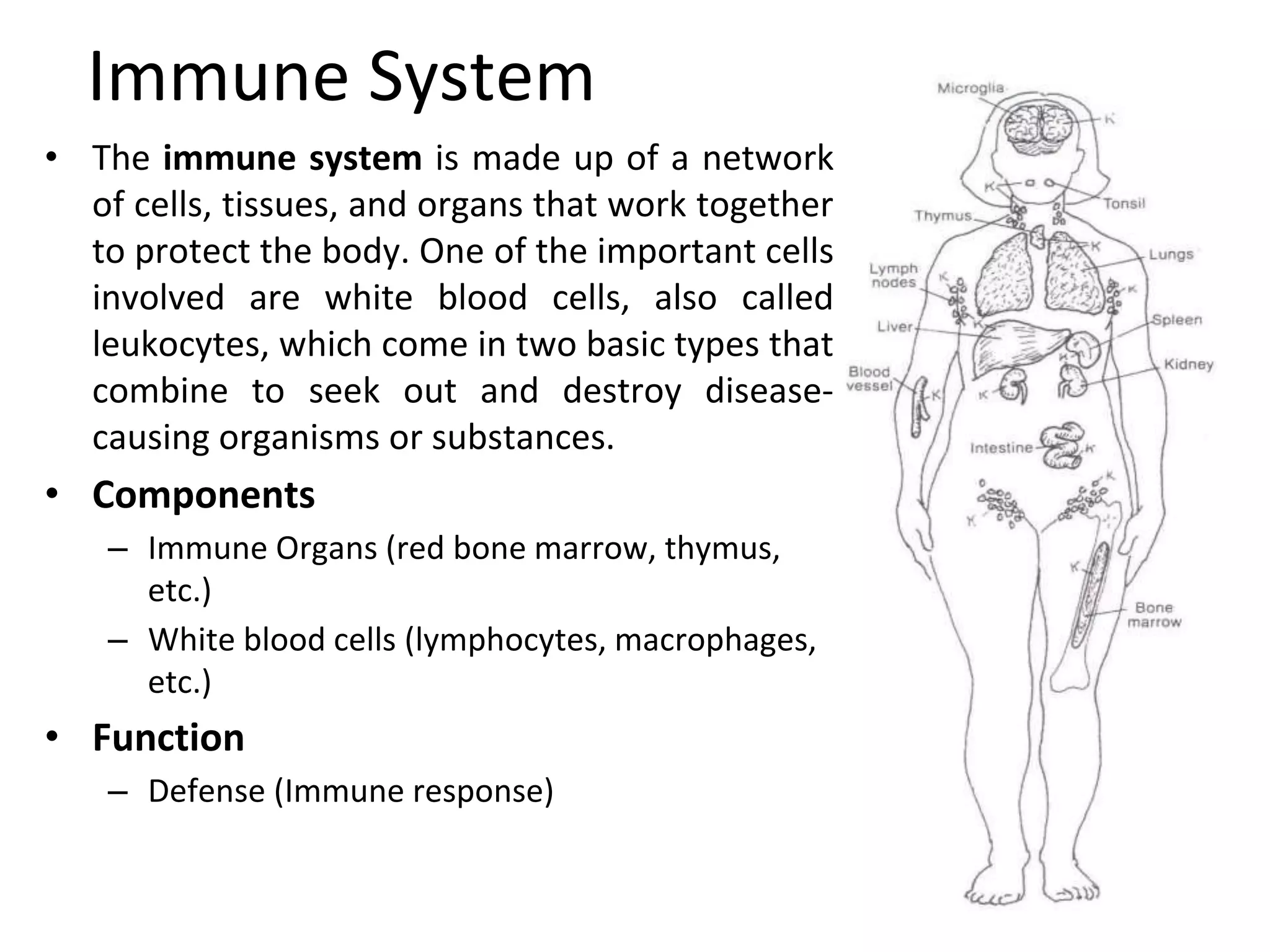 01. Anatomy Introduction (1) Chapter 1.pptx