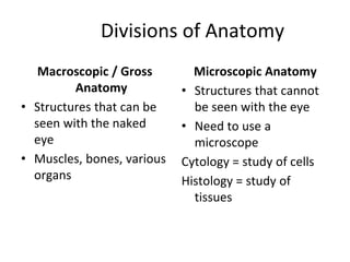 01. Anatomy Introduction (1) Chapter 1.pptx