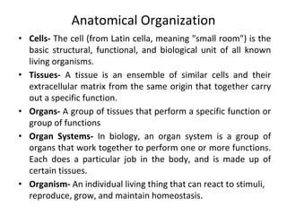 01. Anatomy Introduction (1) Chapter 1.pptx