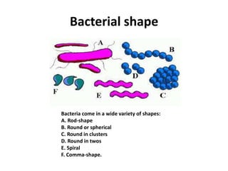 01.INTRODUCTION TO MICROBIOLOGY 1 white.pptx