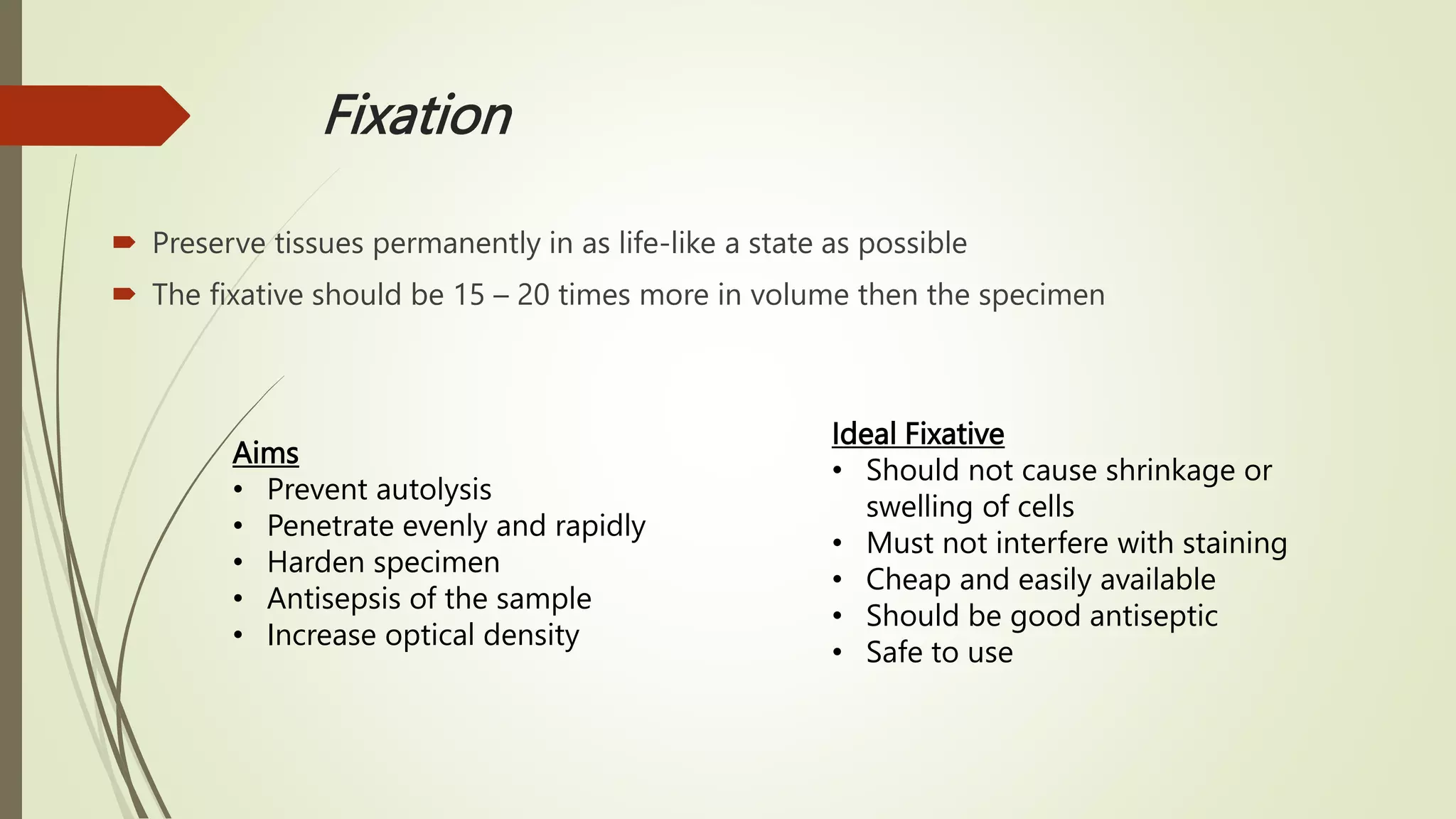 01. Tissue Processing-1.pptx