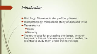 01. Tissue Processing-1.pptx