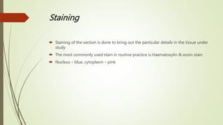 01. Tissue Processing-1.pptx