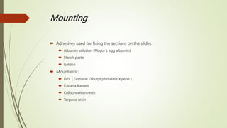 01. Tissue Processing-1.pptx