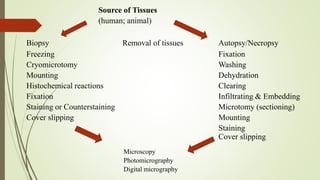 01. Tissue Processing-1.pptx
