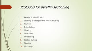 01. Tissue Processing-1.pptx