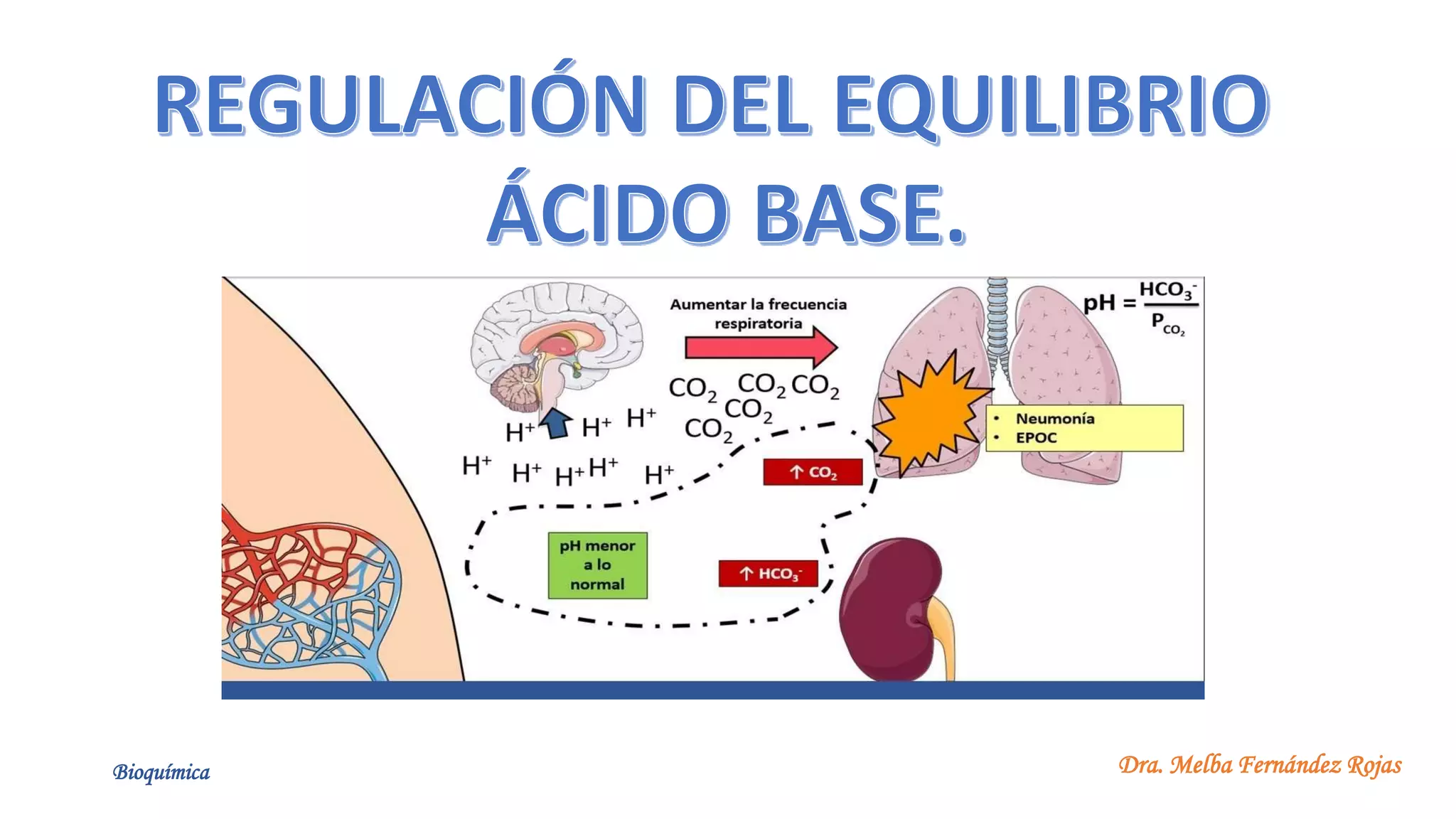 01. REGULACIÓN DEL EQUILIBRIO ACIDO BASE.pptx