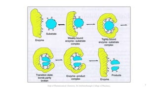 01.Rational Design of Enzyme inhibition.pptx