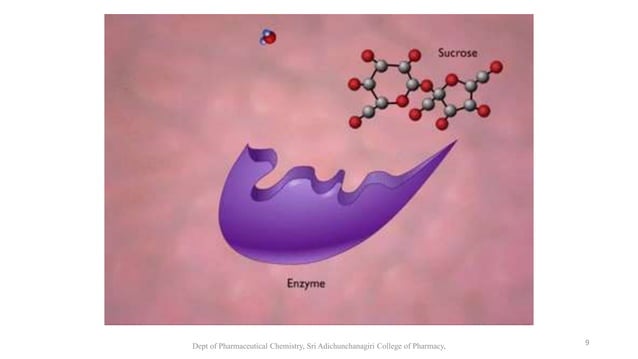 01.Rational Design of Enzyme inhibition.pptx
