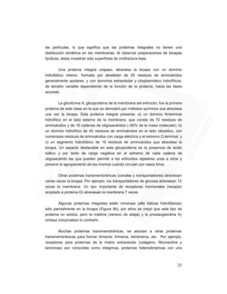 01. Manual de Biología Celular para la carrera de enfermería autor ...