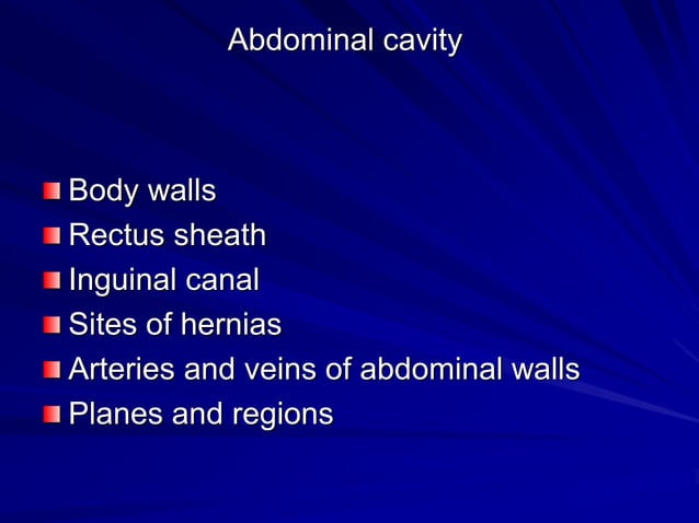 01._abdominal_cavity.pdf