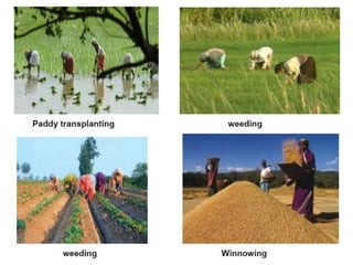 01. lecture o1. status of farm power in india | PPTX