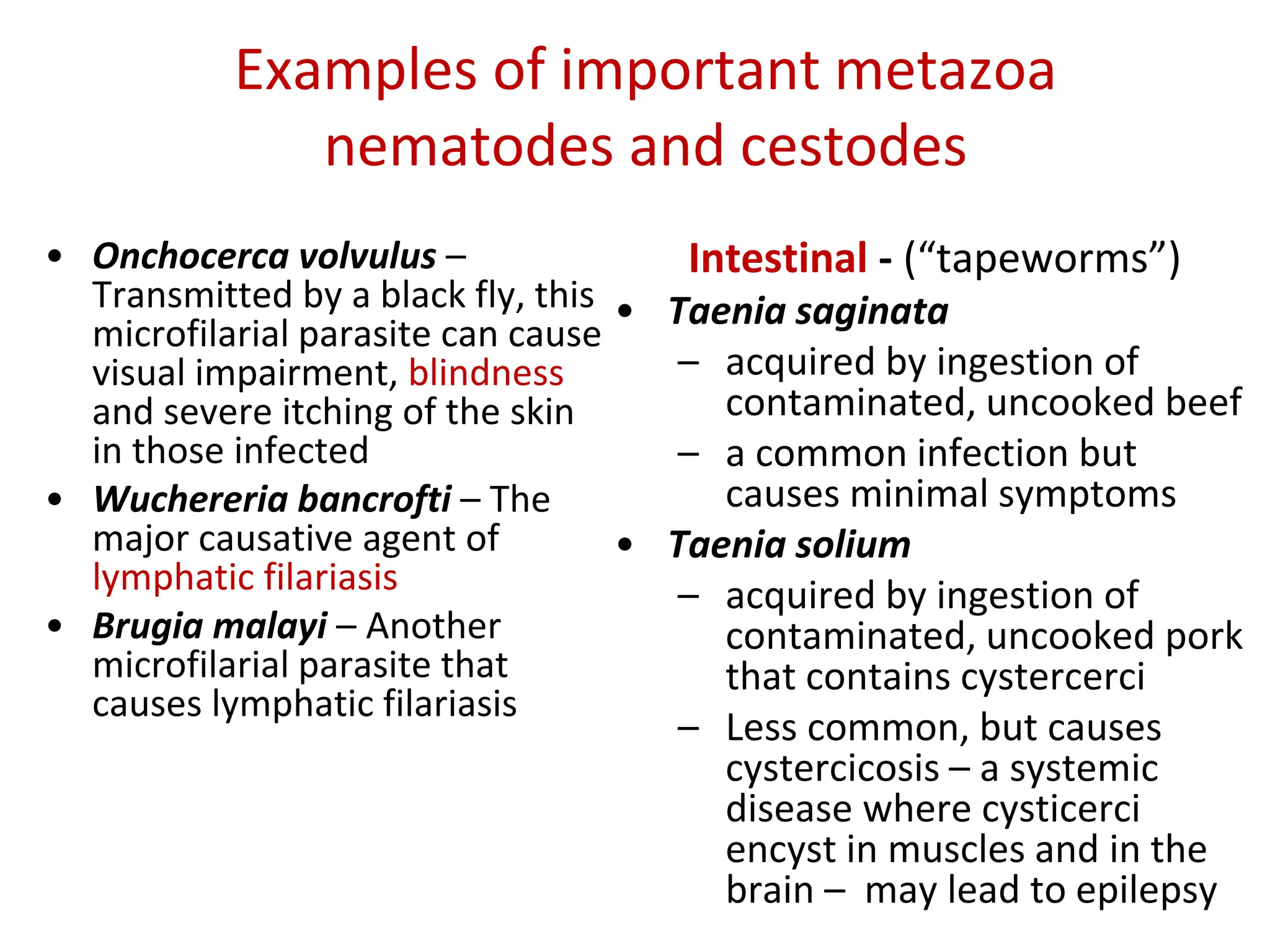 Introduction Parasitology. Parasites in the human body. | PPT