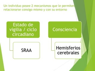 deterioro rostro caudal y estado de coma.pptx