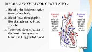 SEMINAR ON HEMODYNAMIC MONITORING ; INVASIVE AND NON INVASIVE | PPTX