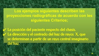 01.- PRINCIPIOS BASICOS.pptx.pdf Principios básicos de posiciones ...