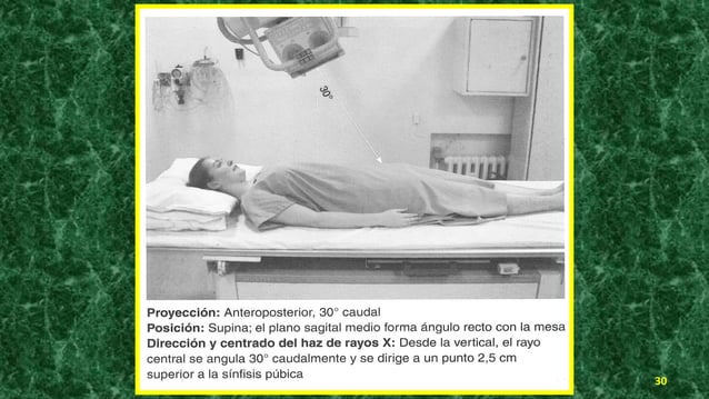 01.- PRINCIPIOS BASICOS.pptx.pdf Principios básicos de posiciones ...