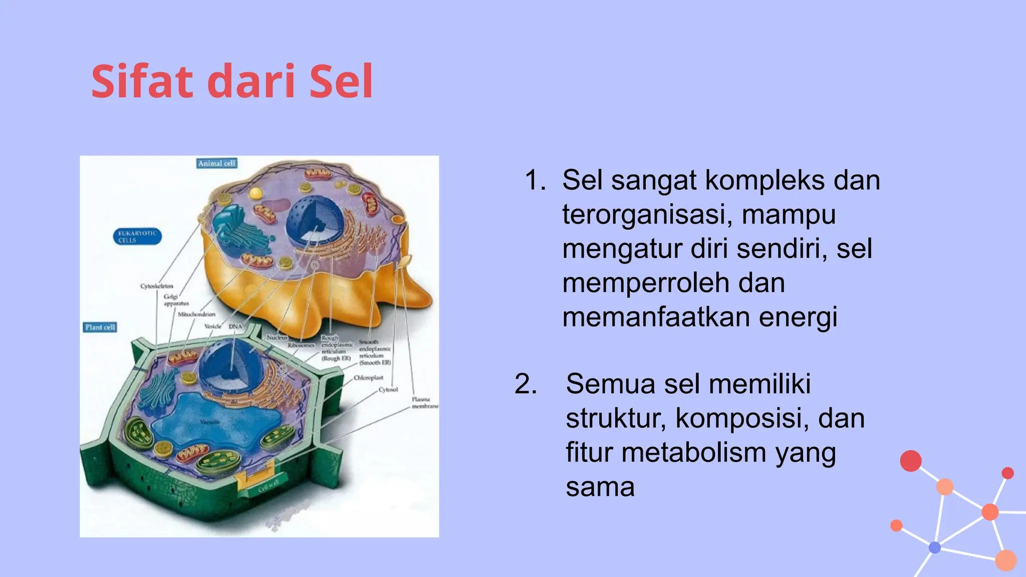 Materi Biologi sel dan Biologi molekuler | PPTX