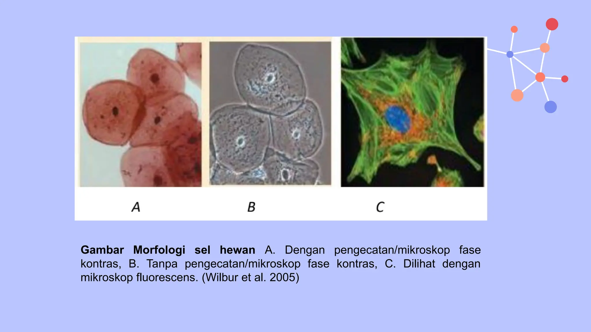 Materi Biologi sel dan Biologi molekuler | PPTX