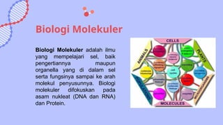 Materi Biologi sel dan Biologi molekuler | PPTX