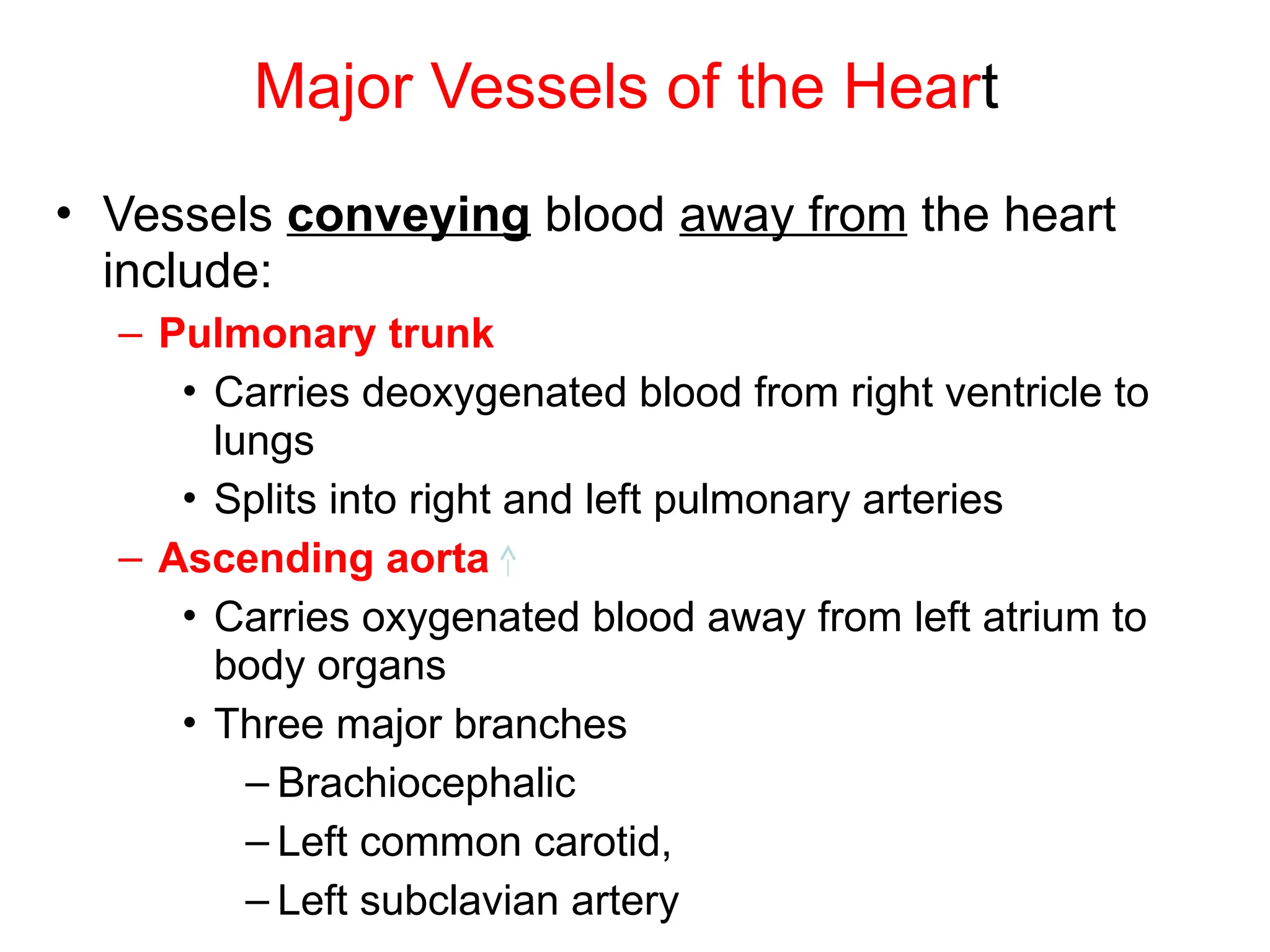 01. Anatomy & Physiology of the Heart.ppt