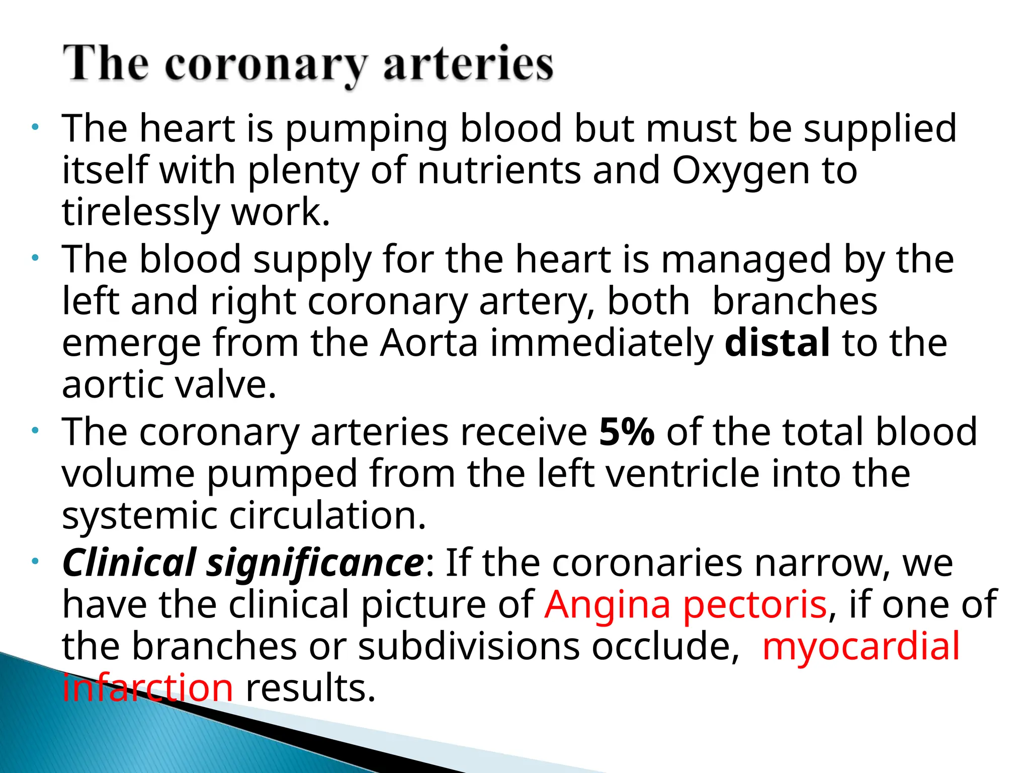 01. Anatomy & Physiology of the Heart.ppt