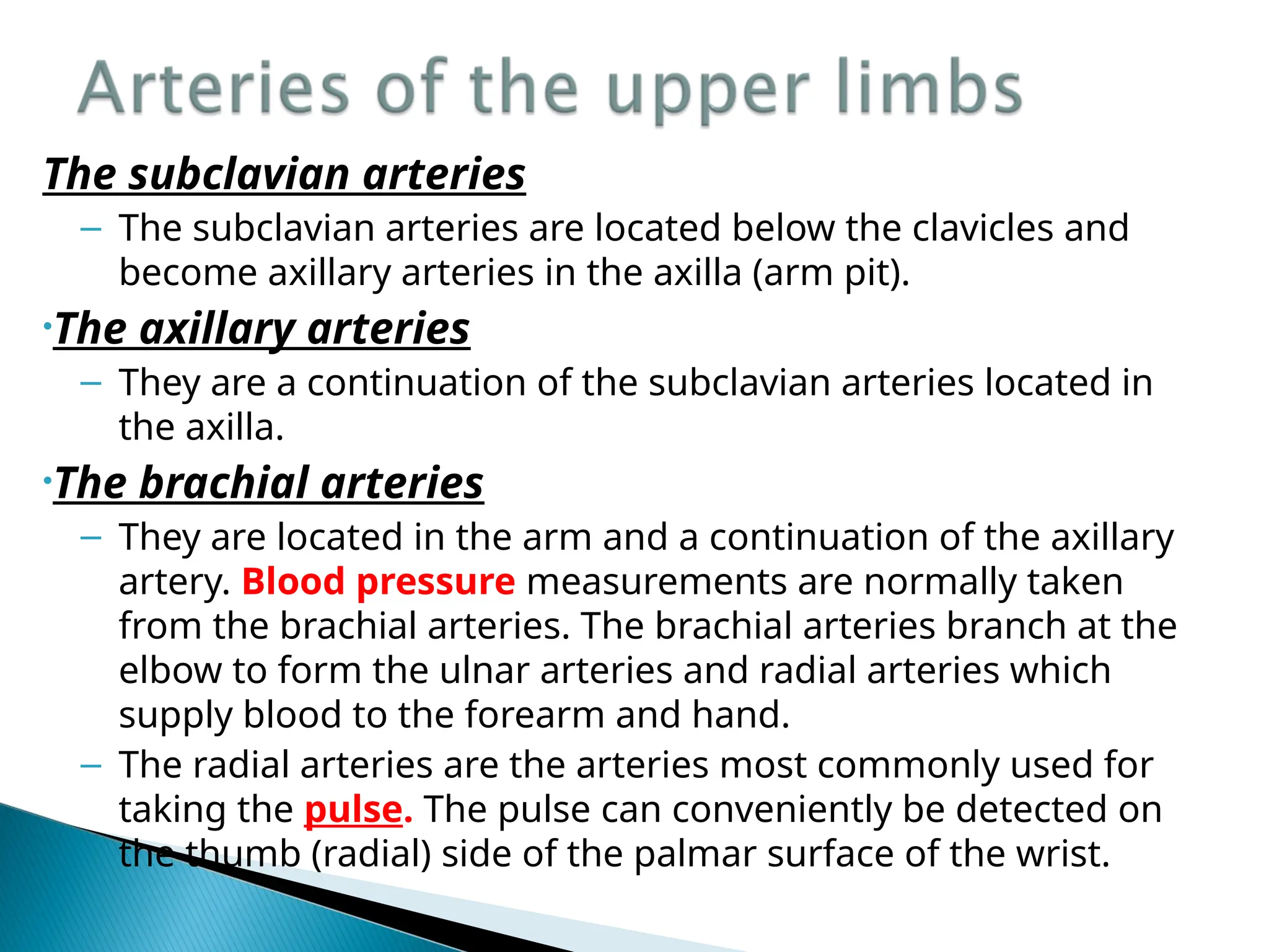 01. Anatomy & Physiology of the Heart.ppt