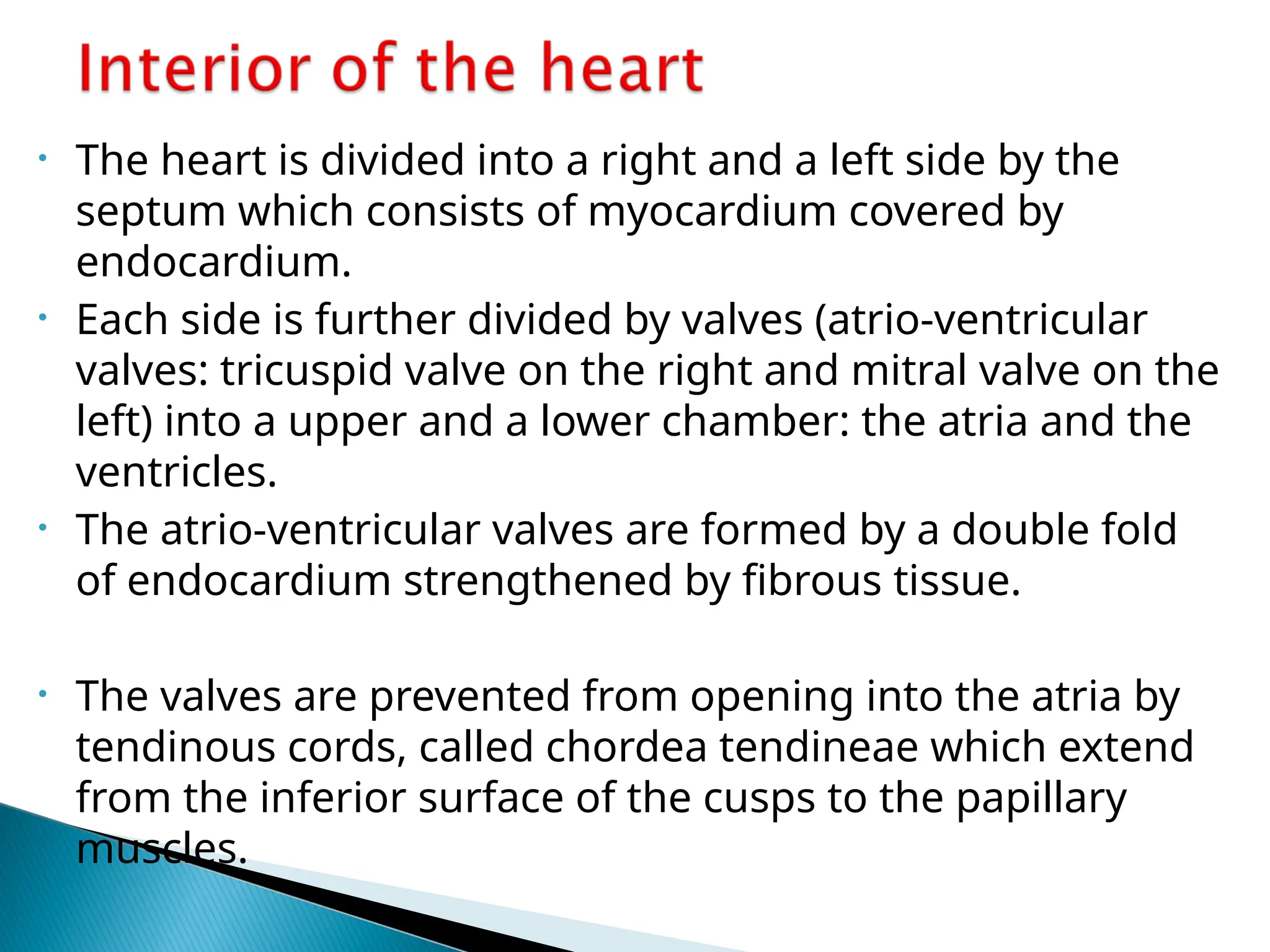 01. Anatomy & Physiology of the Heart.ppt